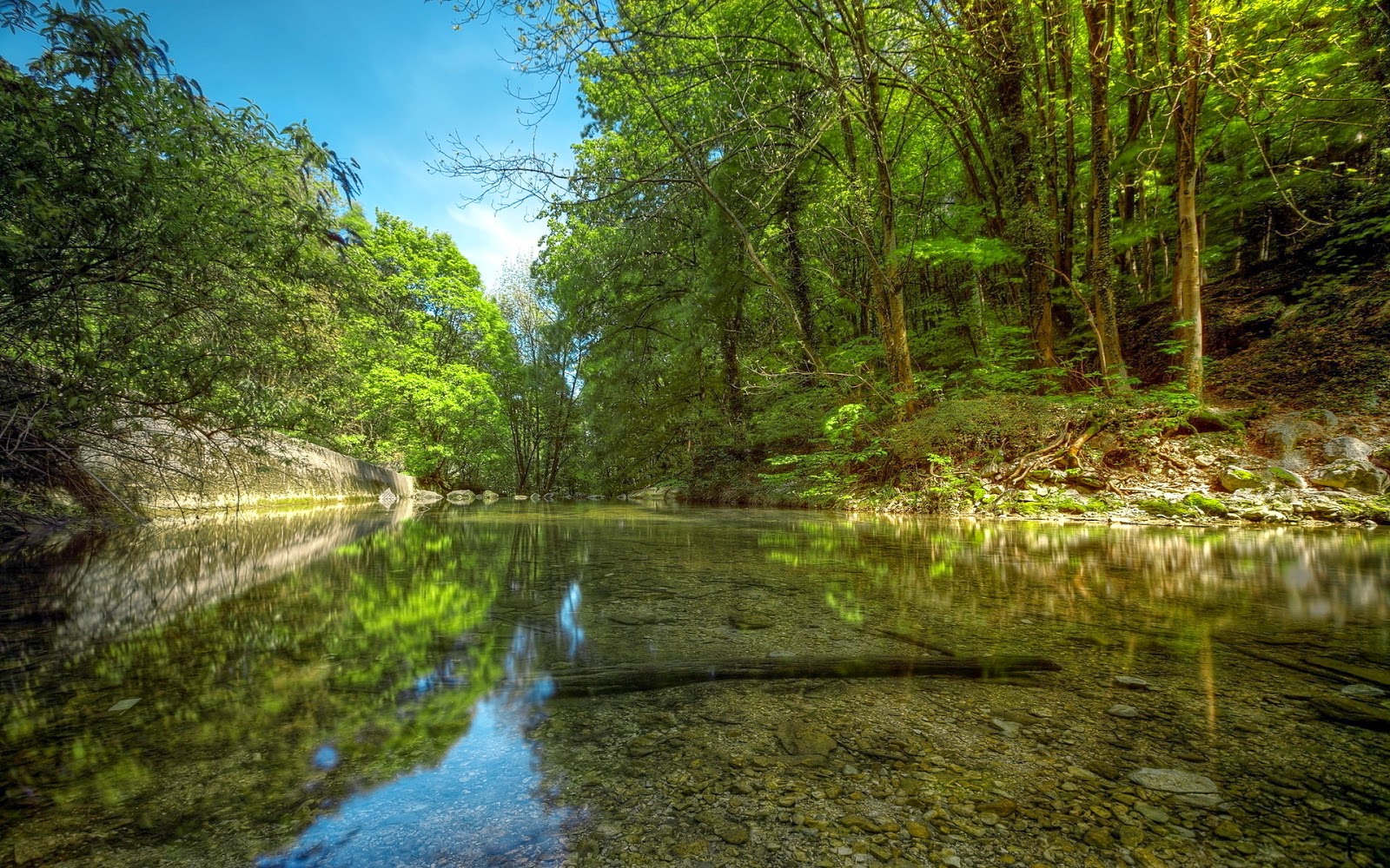 Bosques y lagos wallpapers