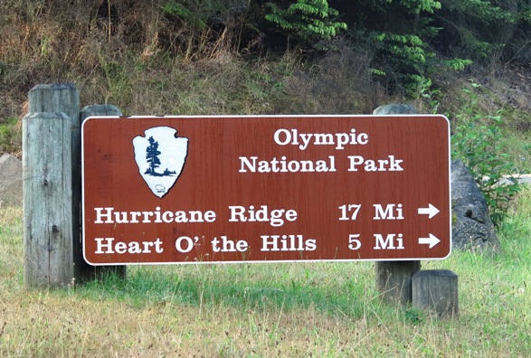 GOING ON ADVENTURES: Discovering the mountains and forests of Hurricane ...