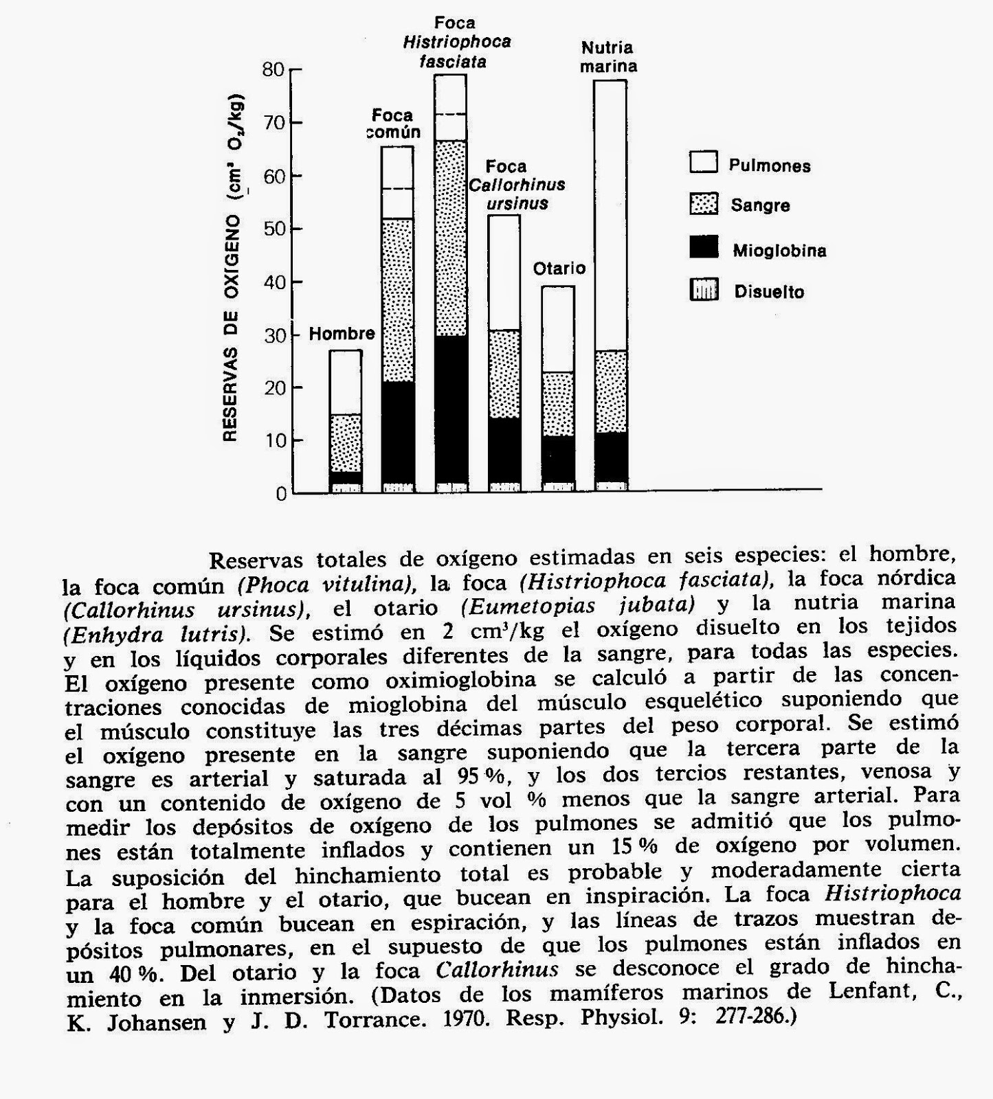 Ecosistema Tierra: HIPERBARISMO
