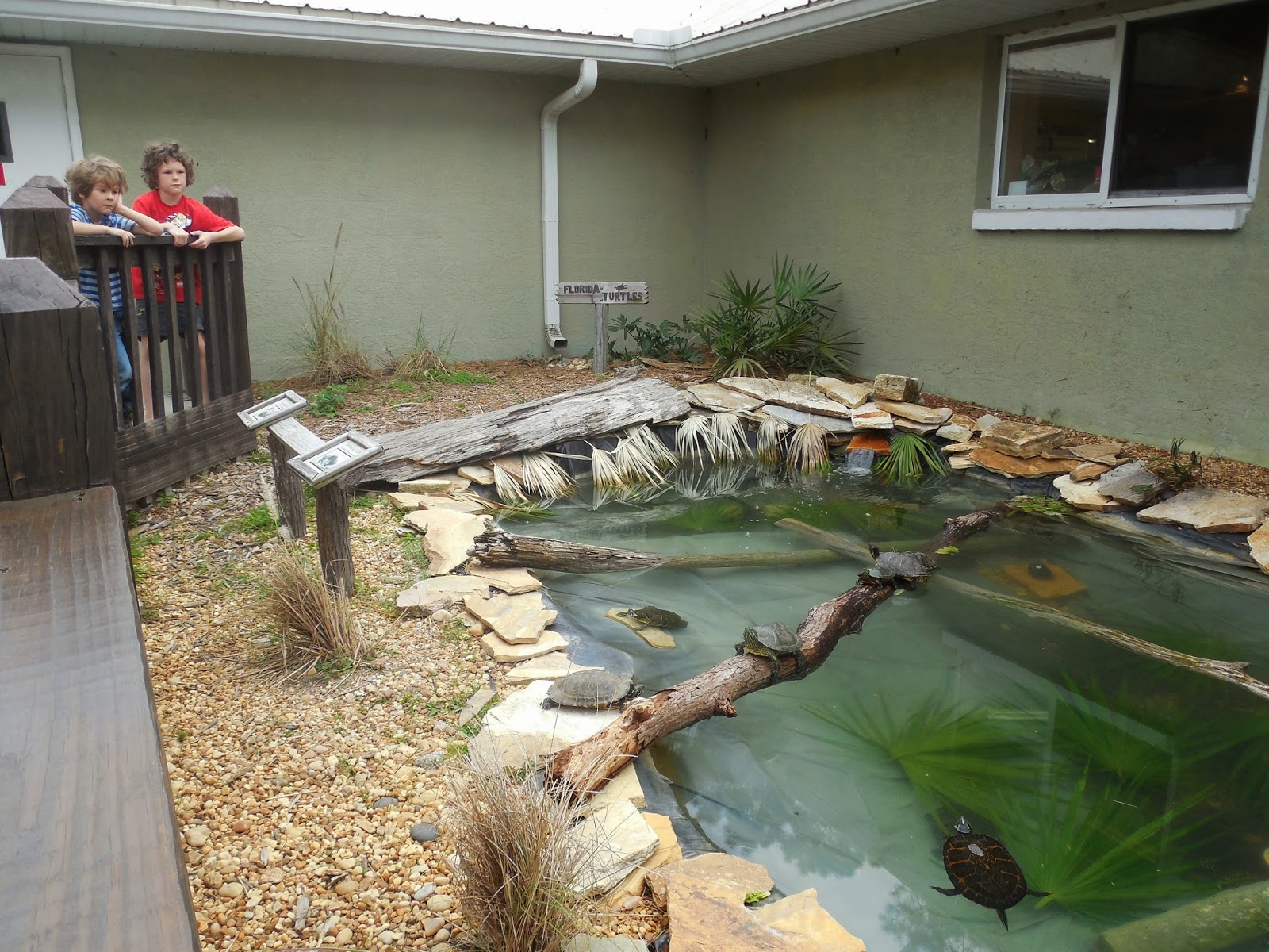 Life Through My Lens: Field Trip: Reptile Discovery Center