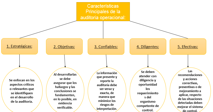 Auditoria Operacional