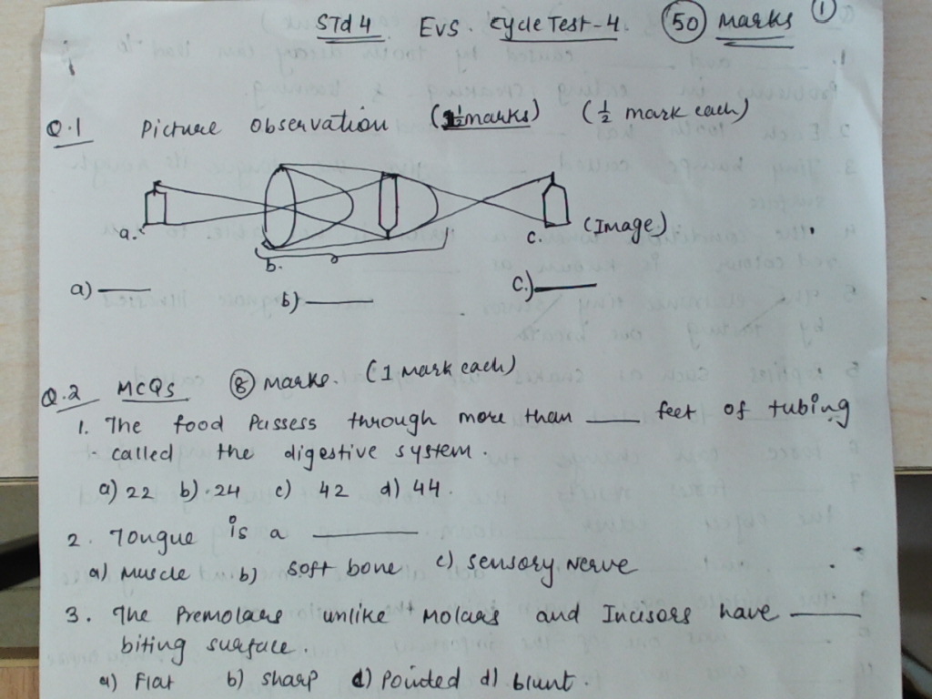 PIS VADODARA STD 4: EVS - GRAND TEST FOR CYCLE TEST-4