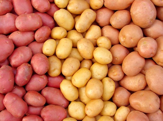 Centopéia Chic: Batata Inglesa - Mil e uma utilidades