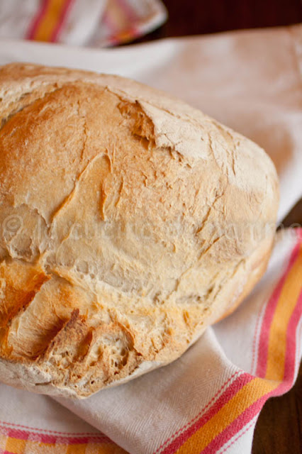 Pane con lievito madre di Bonci | la cucina di mamma