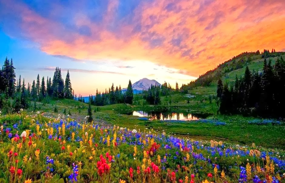 Keindahan Alam Memukau Pandangan Mendamaikan Hati - Relaks Minda