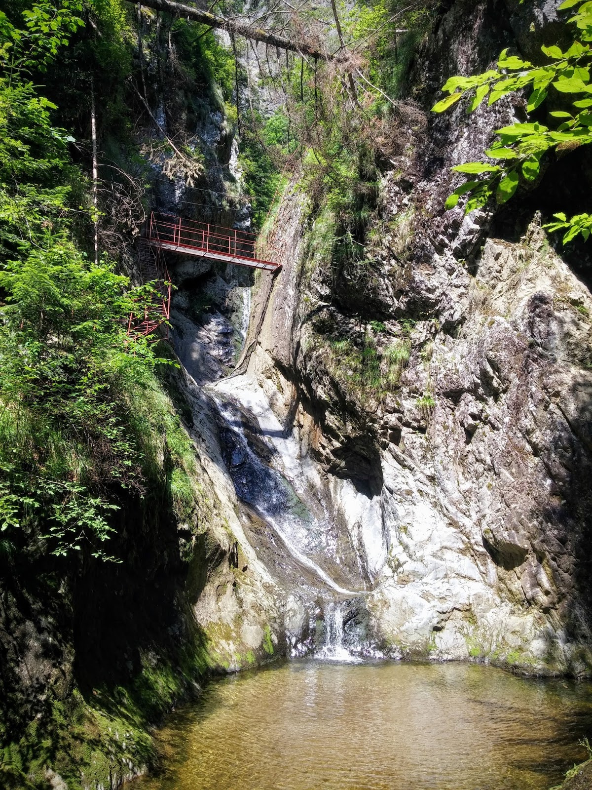 Traseu în munții Făgăraș: Valea lui Stan, Poiana Călugărița, Barajul ...