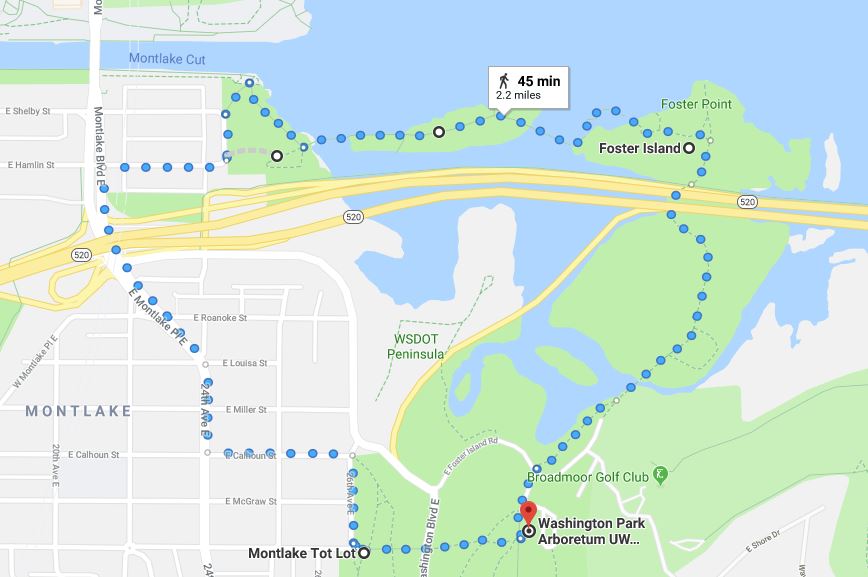 Beauty of Northwest Wilderness: Marsh Island, Seattle