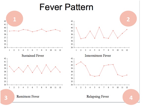 Aprelea Noni: WASPADA penyebab DEMAM