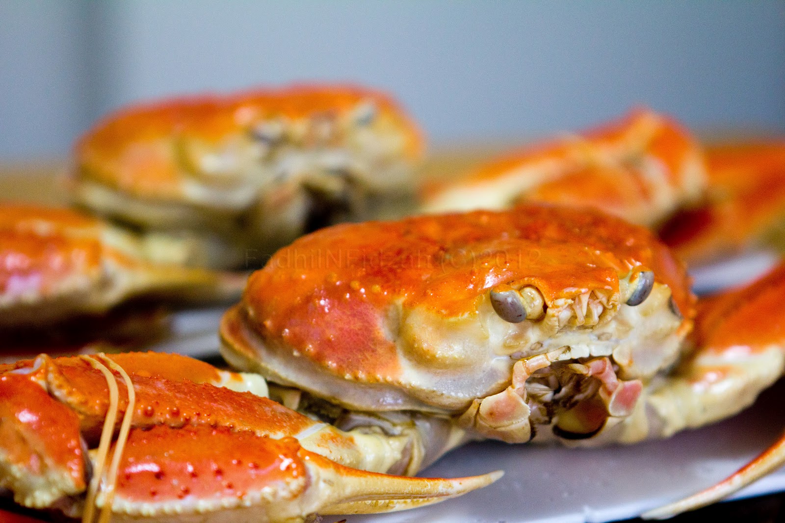 ...FnF Simple Life...: Besar nye ketam jepun