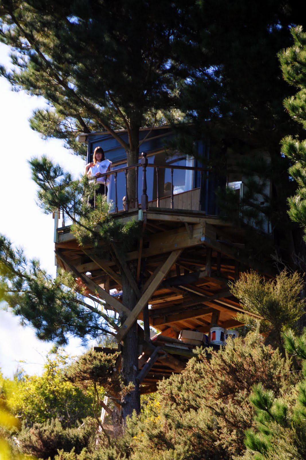 The Best Hut (Tree Bach), Tree House, New Zealand