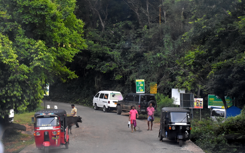Images of Sri Lanka on blogspot.com: Bathing spot at Riverston, Laggala ...