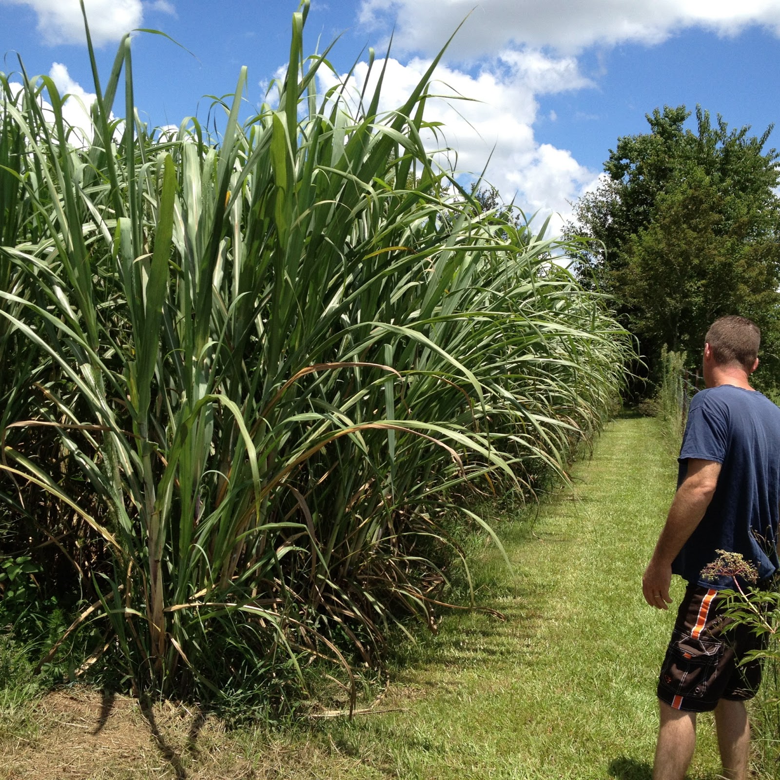 Great Southern Foods: Charles Poirier Sugar Cane Syrup Maker