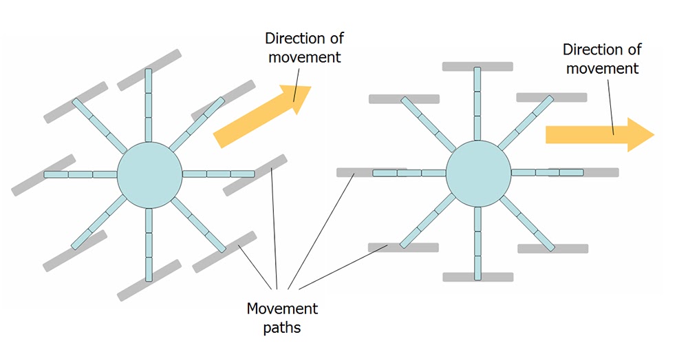 Furahan Biology and Allied Matters: Crabs as spidrids, spidrids as crabs...