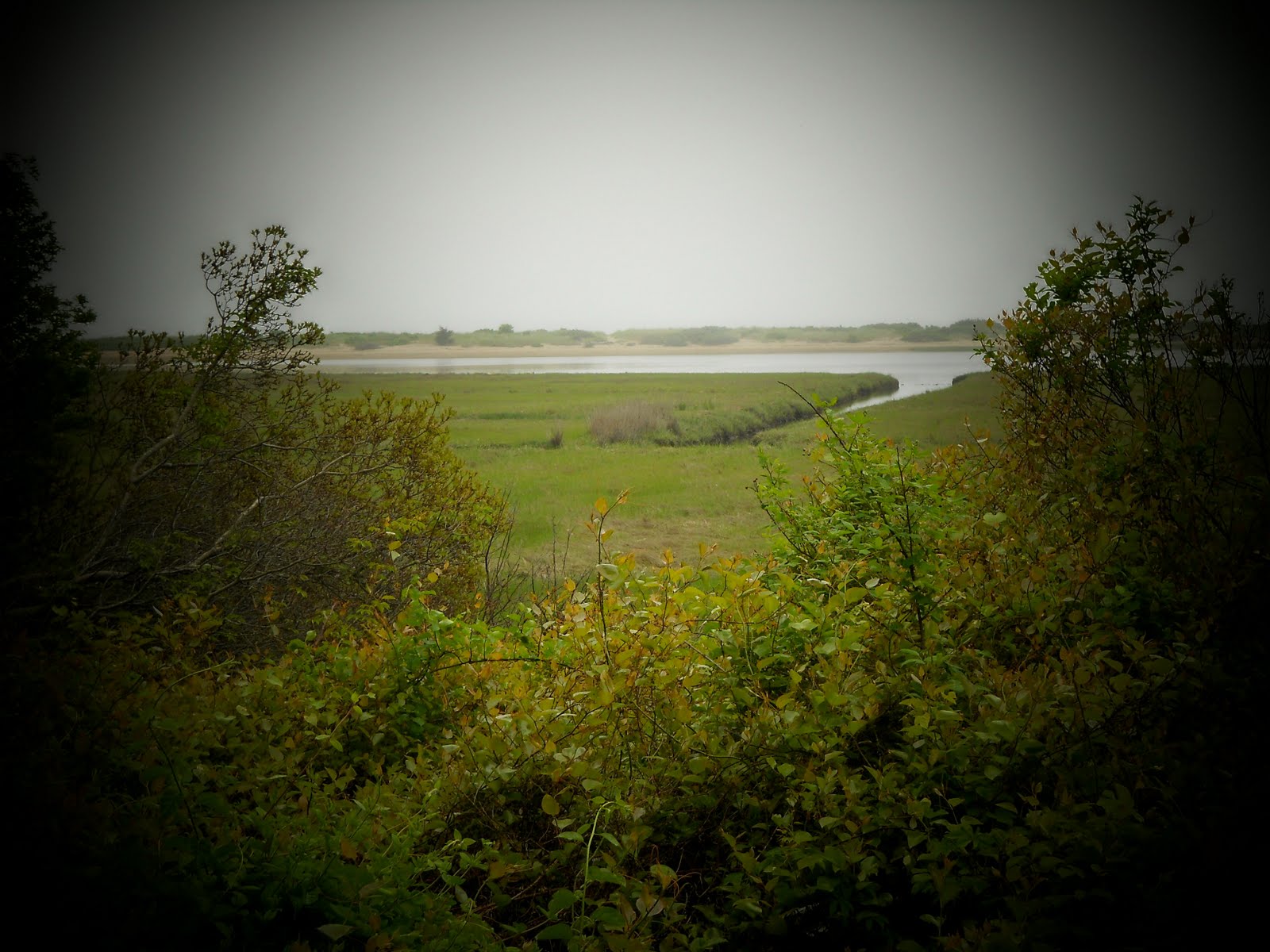 Small Stream Reflections: May 2011