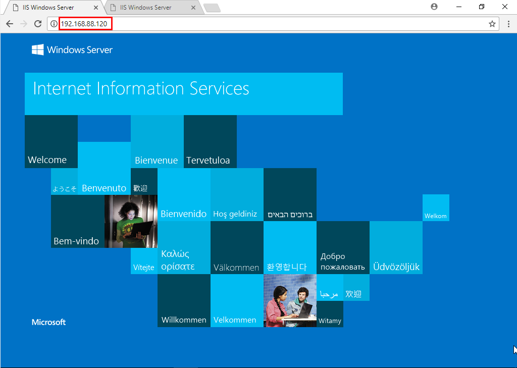 Konfigurasi DNS | Instalasi Dan Cara Membuat DNS | Pada Windows Server 2016