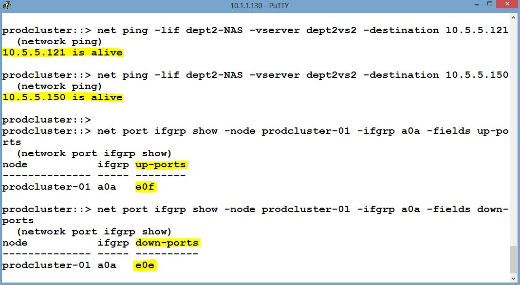Remote Infrastructure Management: ONTAP 9 Network Management Tutorial