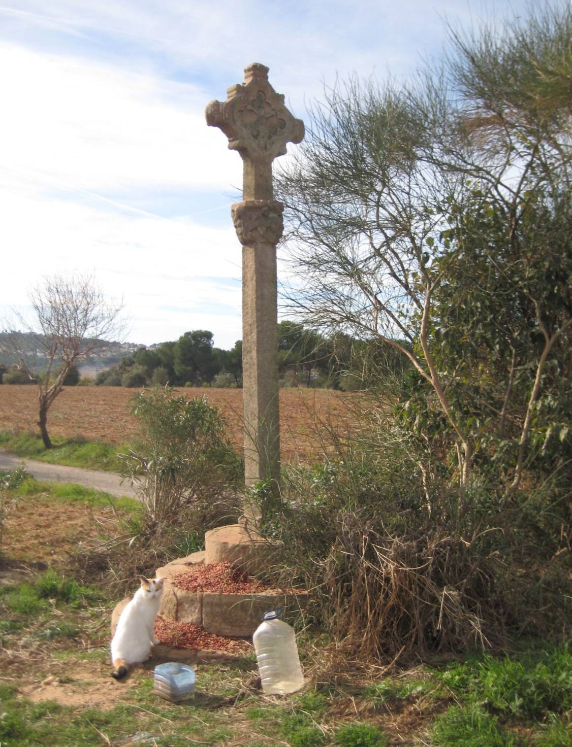 Joaquim Verdaguer i Caballé: La creu de can Badiella