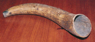 "Early" Welsh Leighs: David Leigh Biography