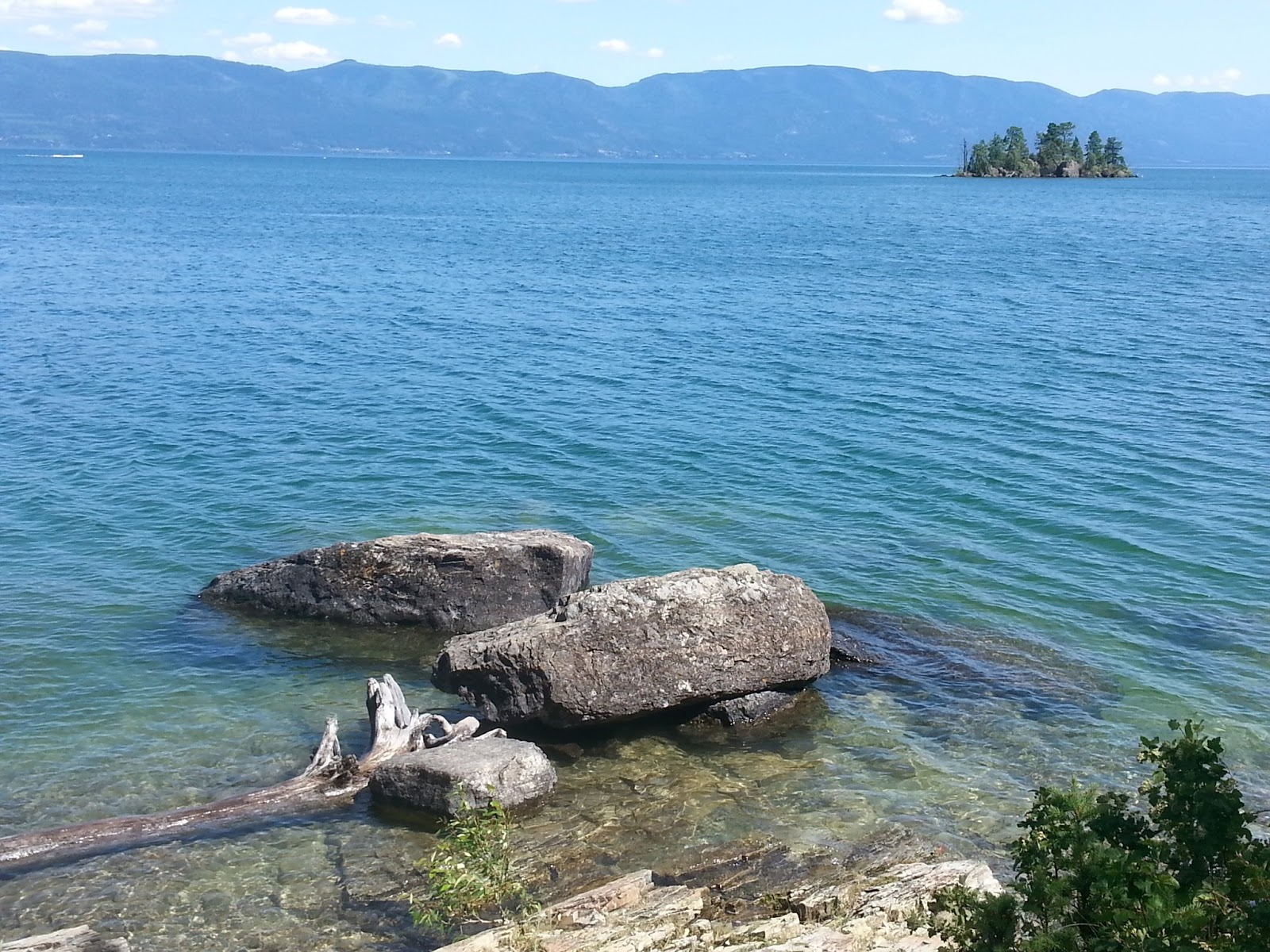 Flathead Lake Monster Sturgeon