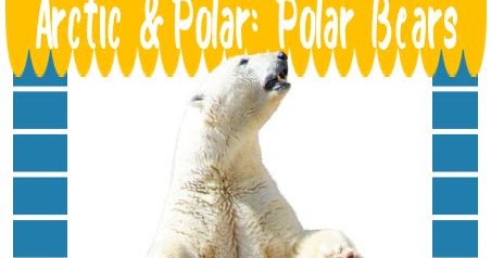 God Makes the Arctic & Polar Animals: Polar Bears | Bible Fun For Kids
