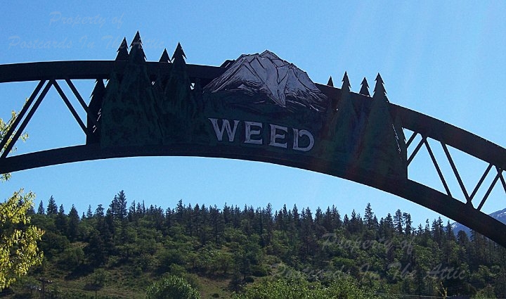 Wandering Wednesday - Weed, California - ButterflyInTheAttic