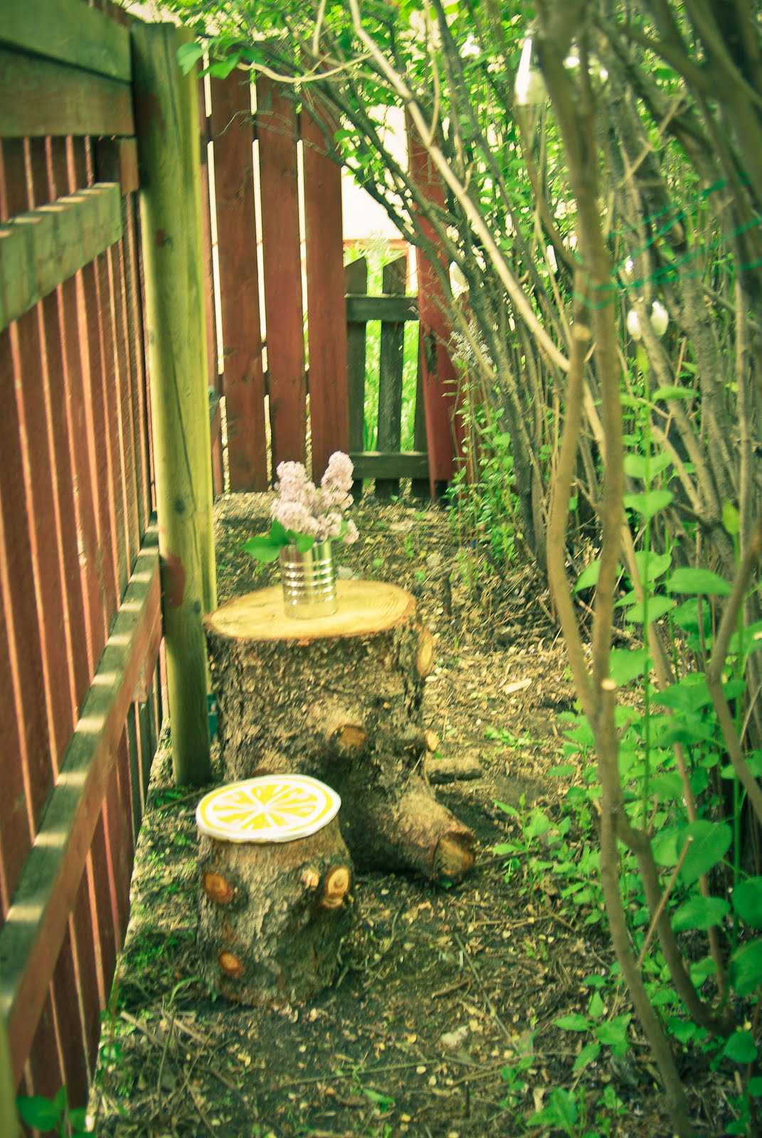 DIY | Secret Forest & Stump Set