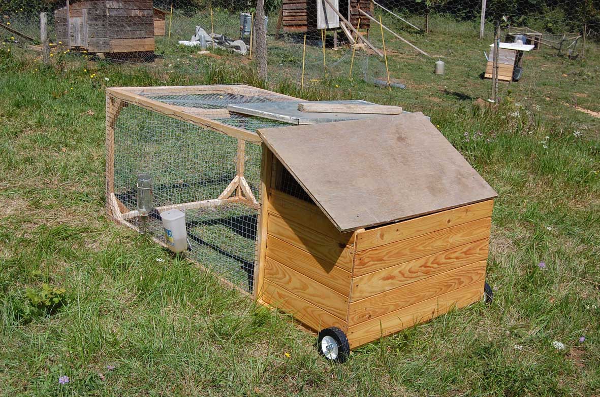 The (d)evolutionary: How to make a mobile rabbit run