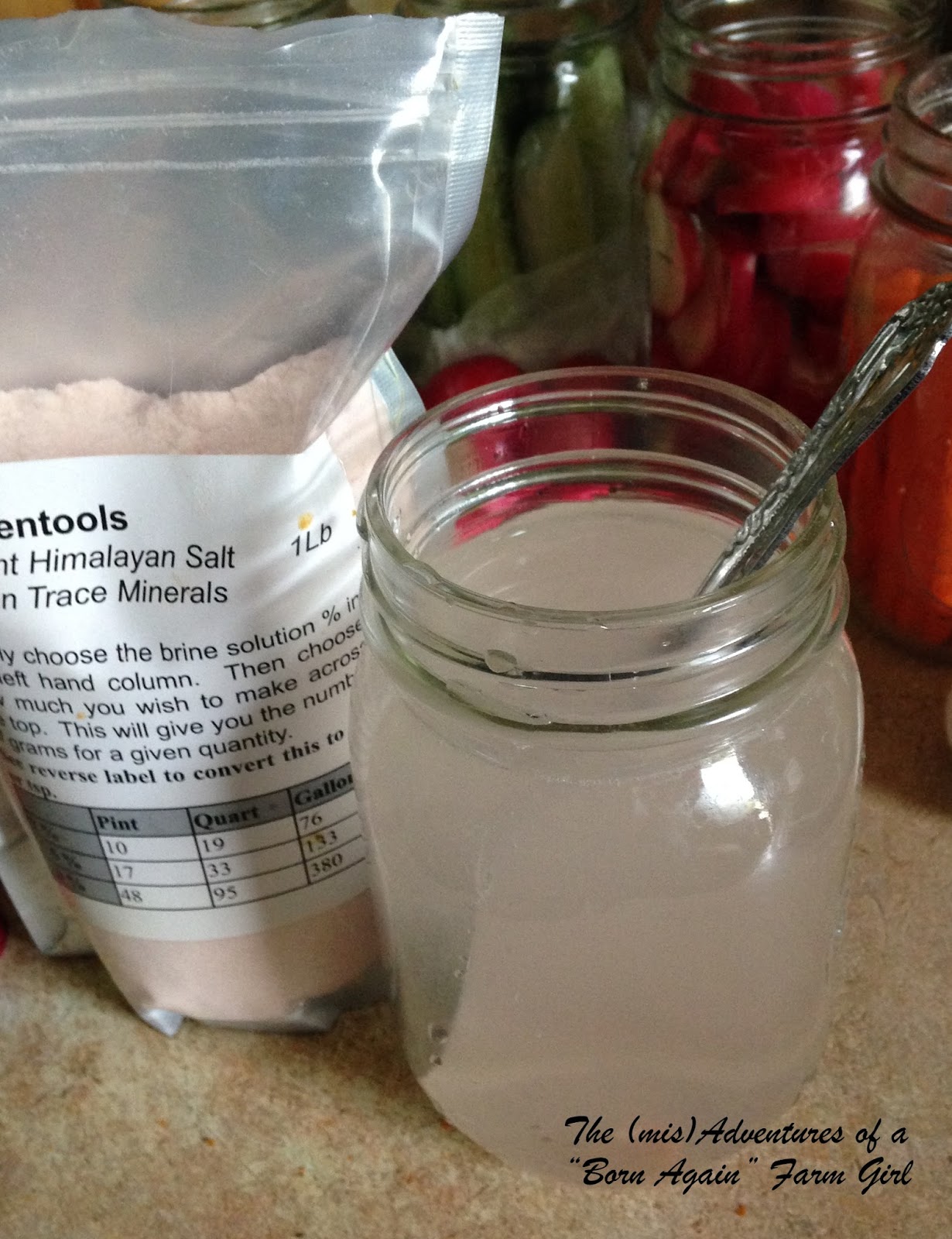 Fermenting Pickles, A Yummy Science Project - The (mis)Adventures of a ...