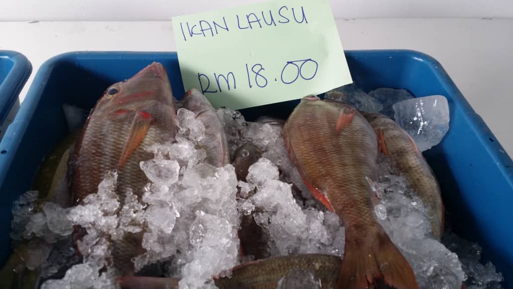 Jalan-Jalan Cari Ikan di Tabanac Freshmart - Amie's Little Kitchen