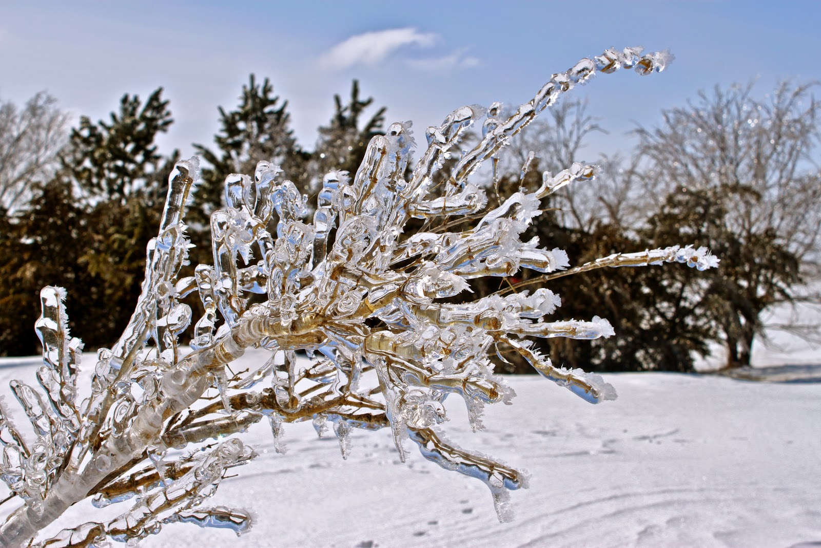 Wishek, North Dakota: What Spring brings to a North Dakota small town...