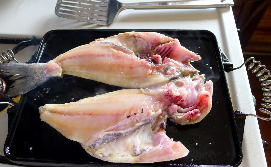 MY KITCHEN IN SPAIN: THE GREAT CULINARY CAPER