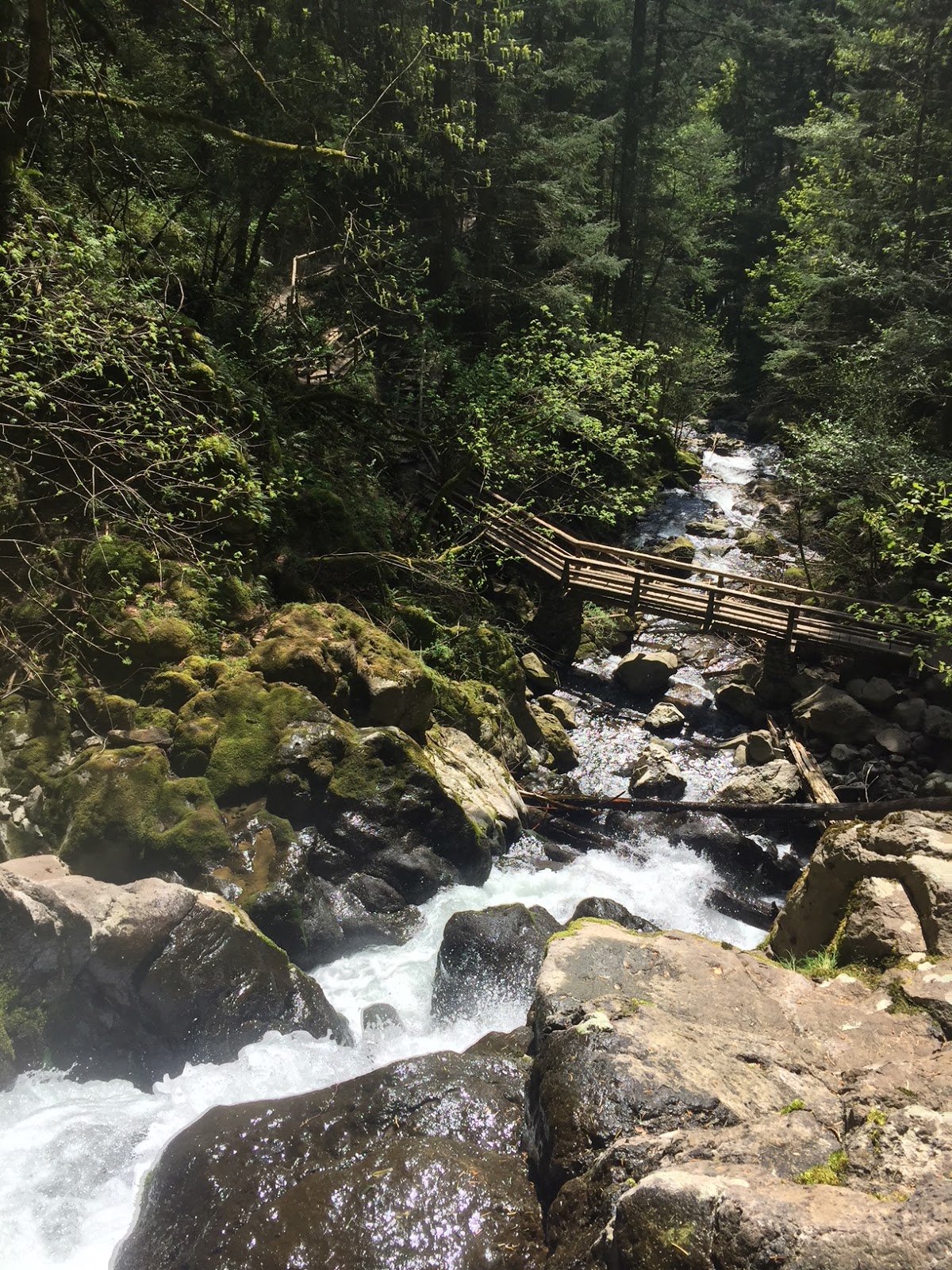 Three Hiking Sisters: Rodney Falls and the Pool of the Winds