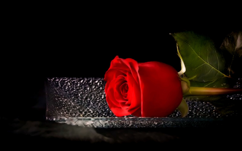 Shekiller, şəkillər, gözəl şəkillər: guller, gul sekilleri, chichekler ...