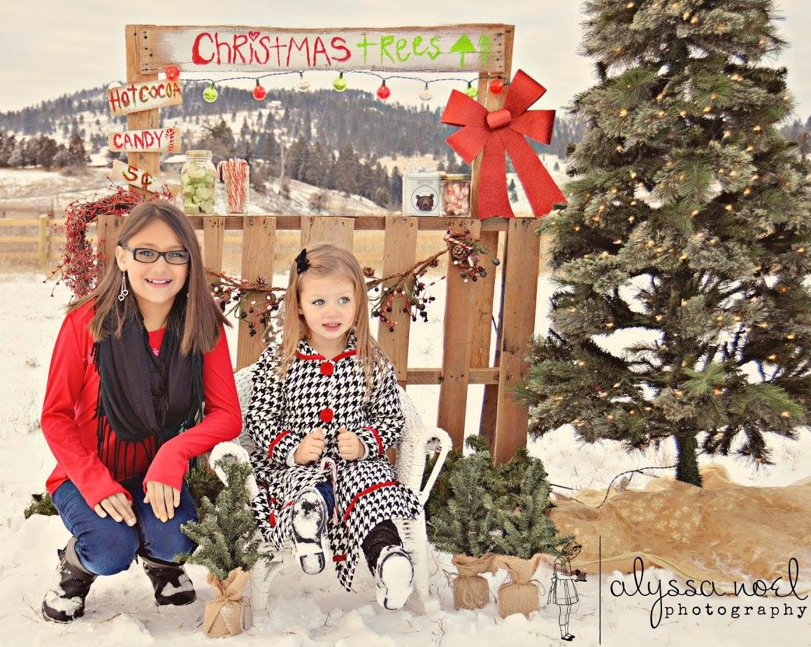 Alyssa Noel Photography: January 2015