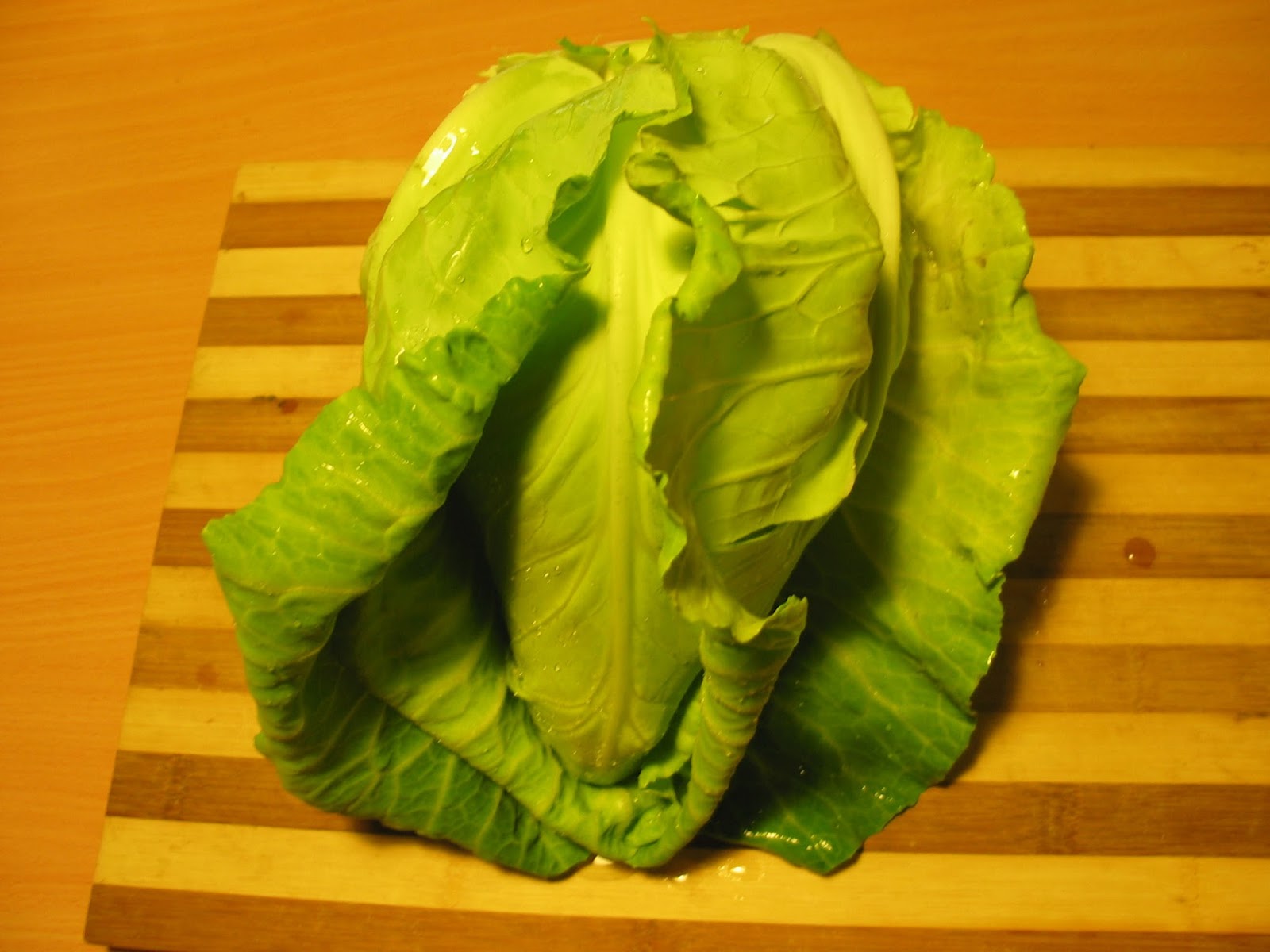 Hestel Tellus - Compost Boerderij Portugal: Zaden en soorten... Kool.