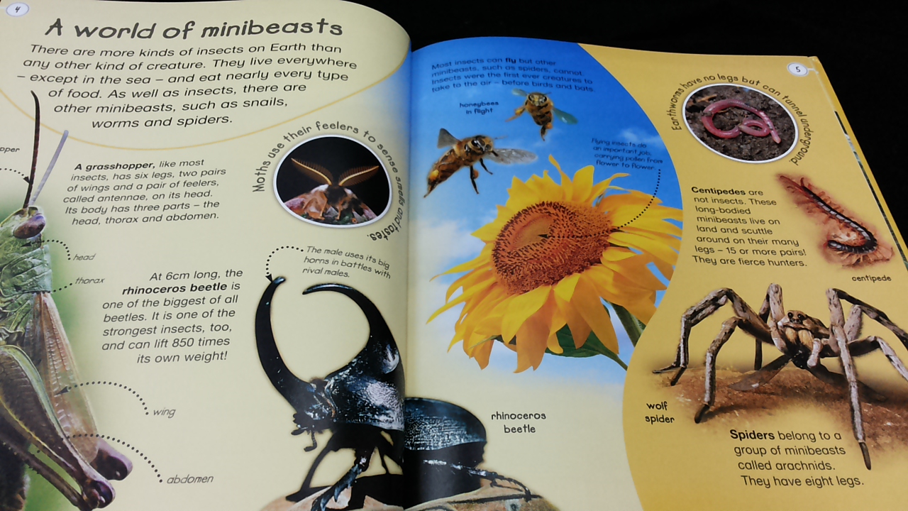 Kid Books Blog: 292.Insects and minibeasts