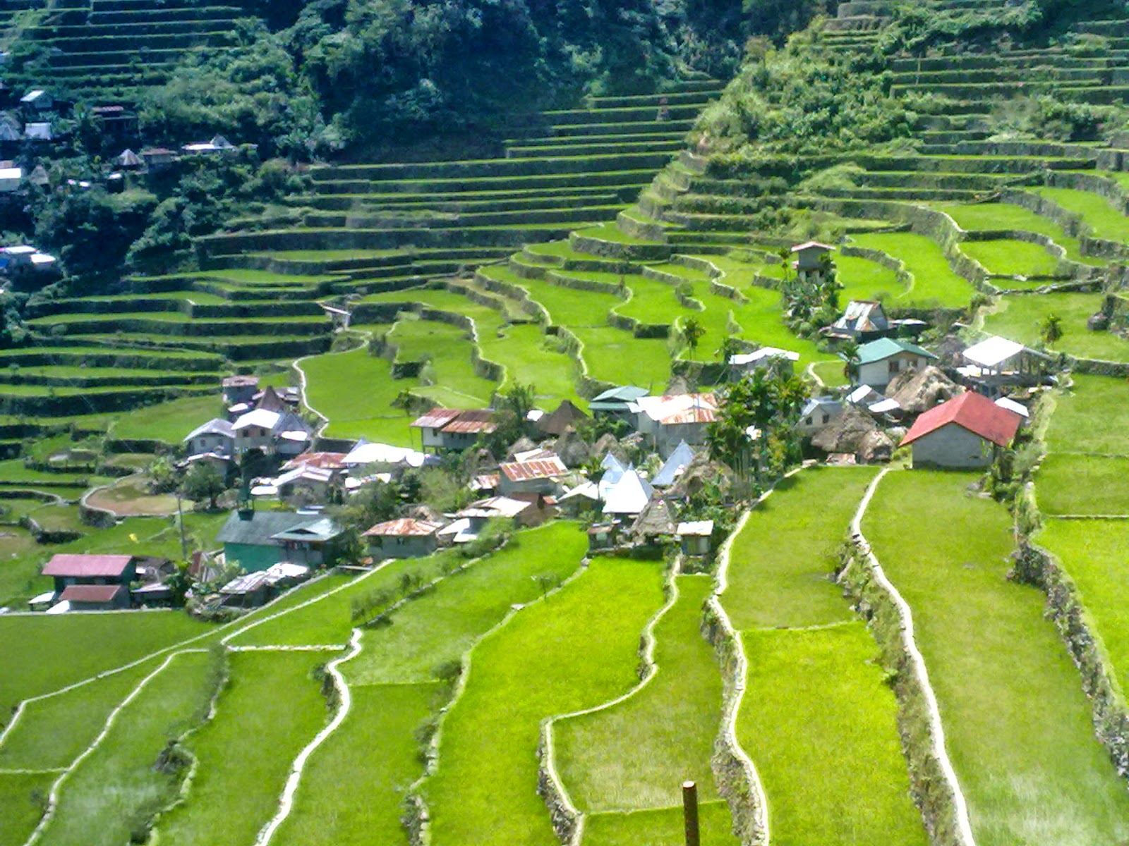 My Metro Manila Photo Blog: THE BANAUE RICE TERRACES, IFUGAO, PHILIPPINES