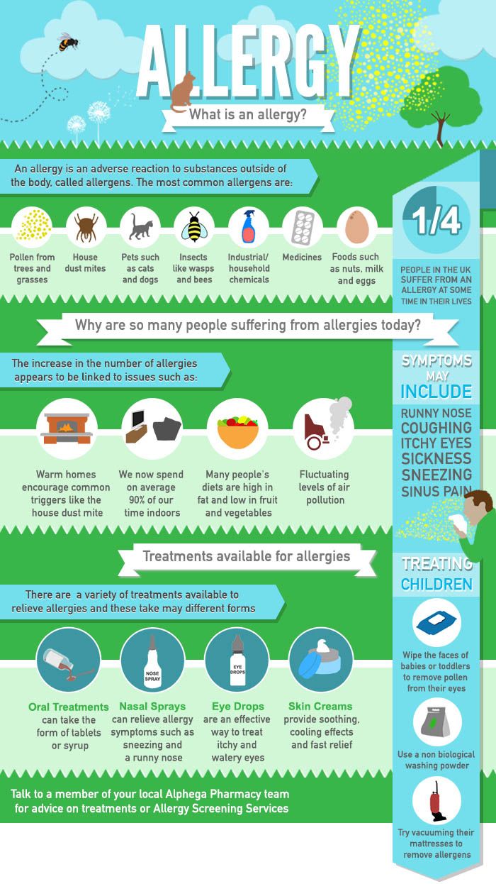 How to Reduce Pet Allergens at Home | Animalix - Magazine