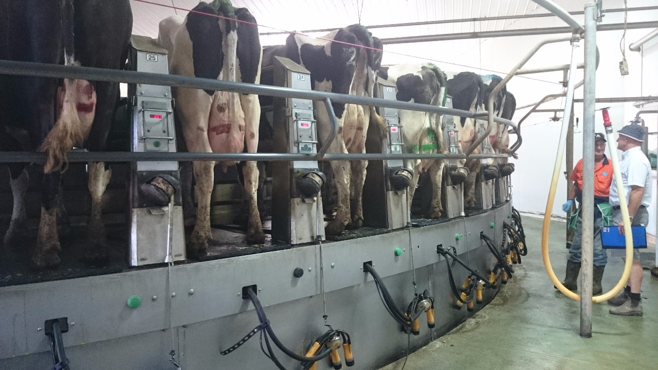 Industri Peternakan Memasuki Periode 4.0