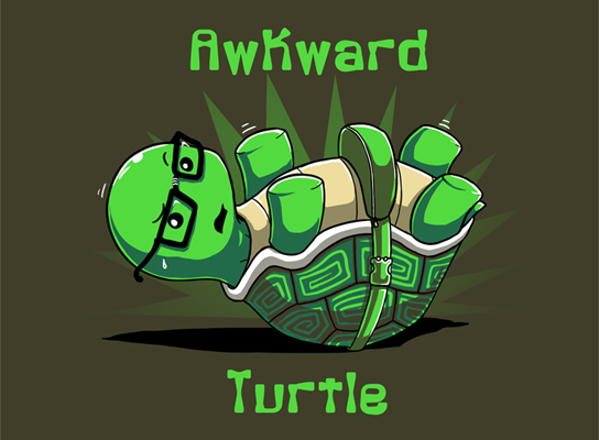 July 2013 | Awkward Turtle