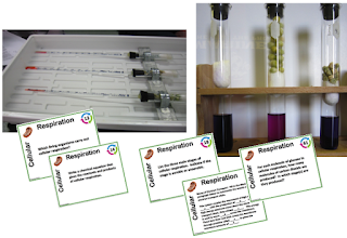 Amy Brown Science: 14 Ways to Use Task Cards in High School Biology