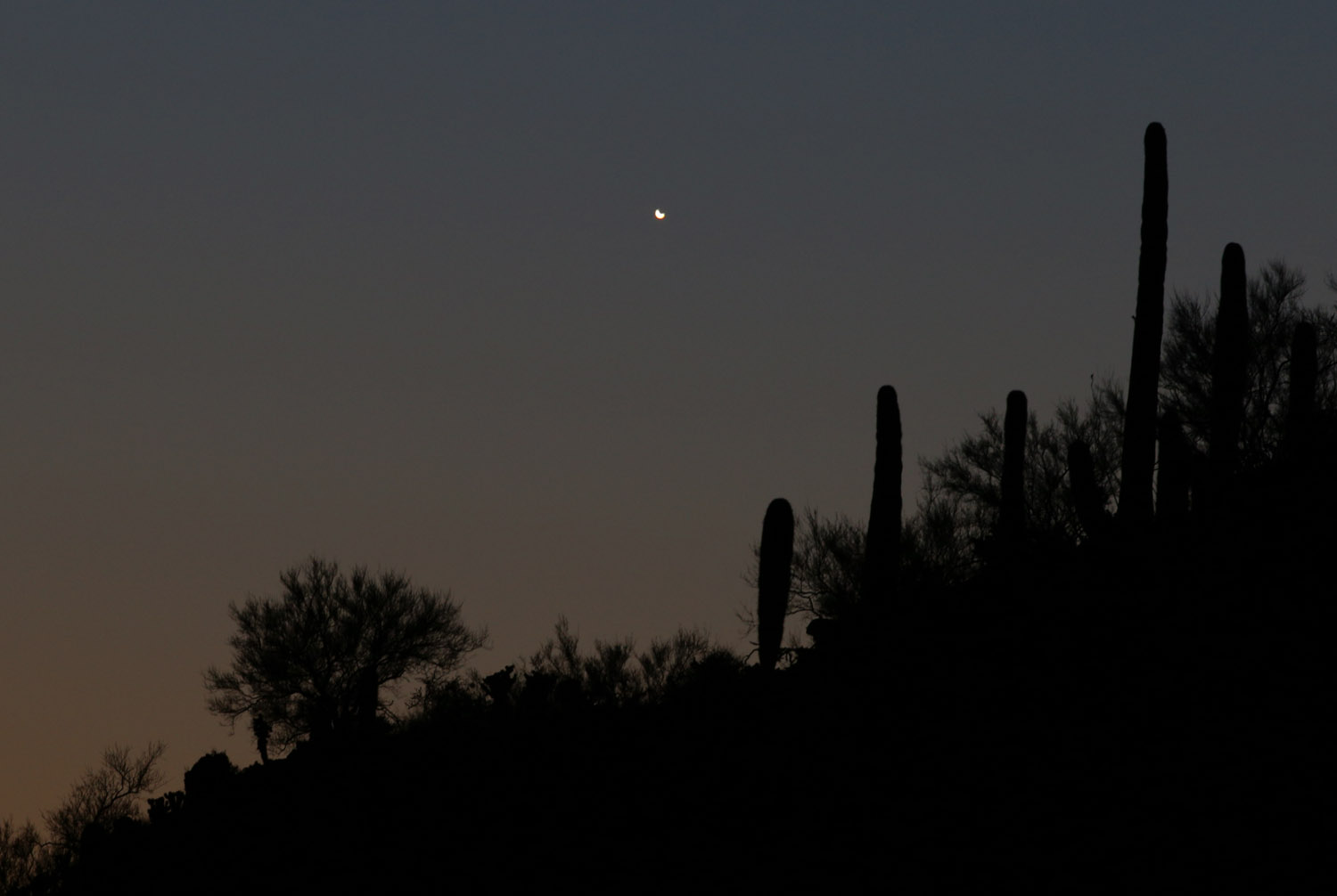 The Ketelsens!: The Evening Star Moves On!