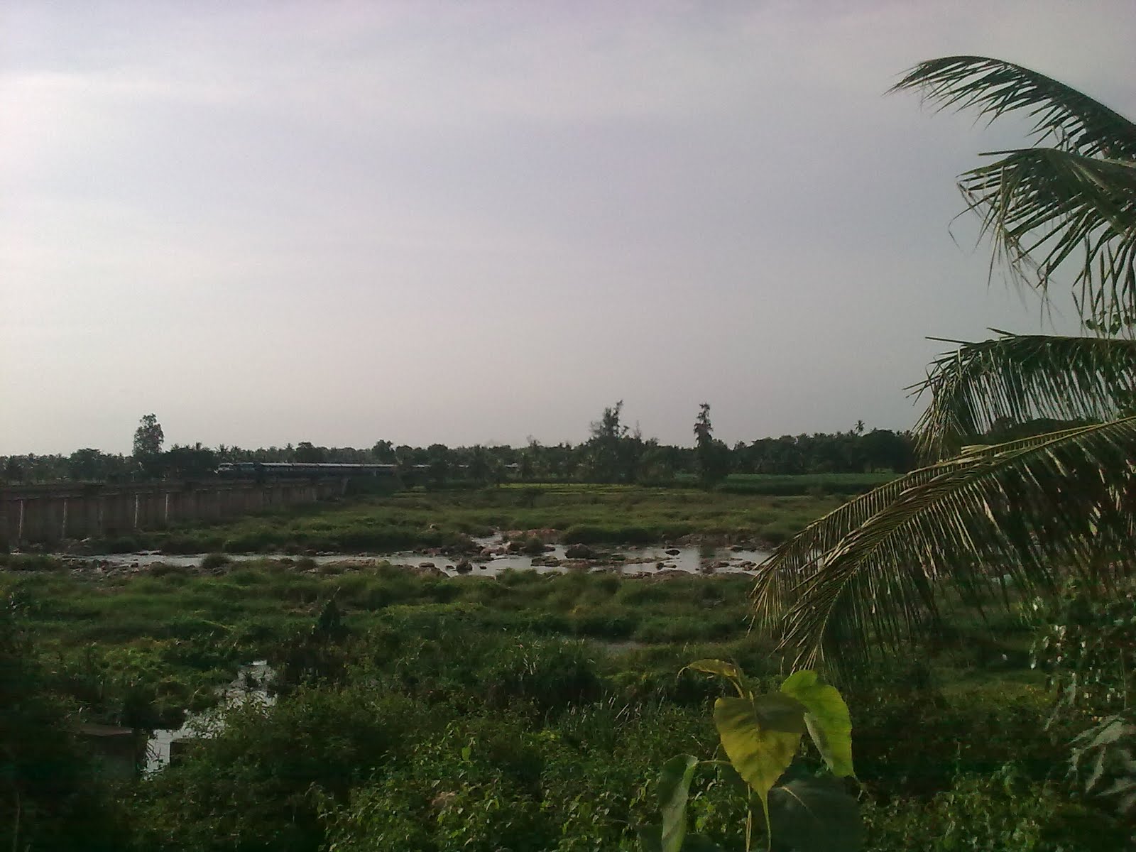 motherindia: Nanjangud To SriraNgapatna via Mighty Mahisur(Mysore):)