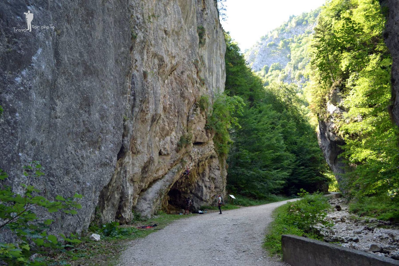 Prin Prapastiile Zarnestilor