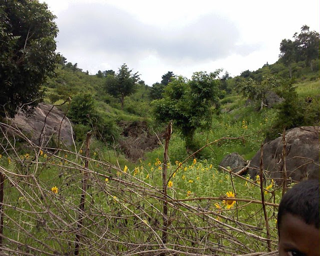 Tamilnadu Tourism: Javadi Hills, Thiruvannamalai