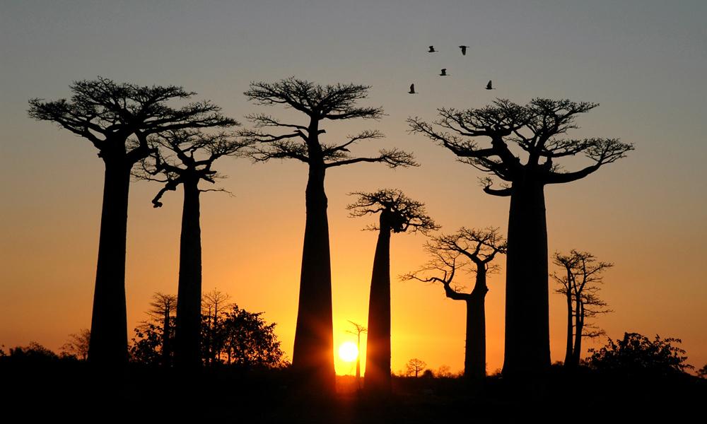 Pictures World: Madagascar Sceneries and Landscapes