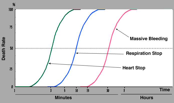 The Emergency Physician , India: How we managed a CODE BLACK (Disaster ...