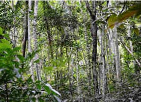 Top 10 Smallest Protected Landscapes in the Philippines