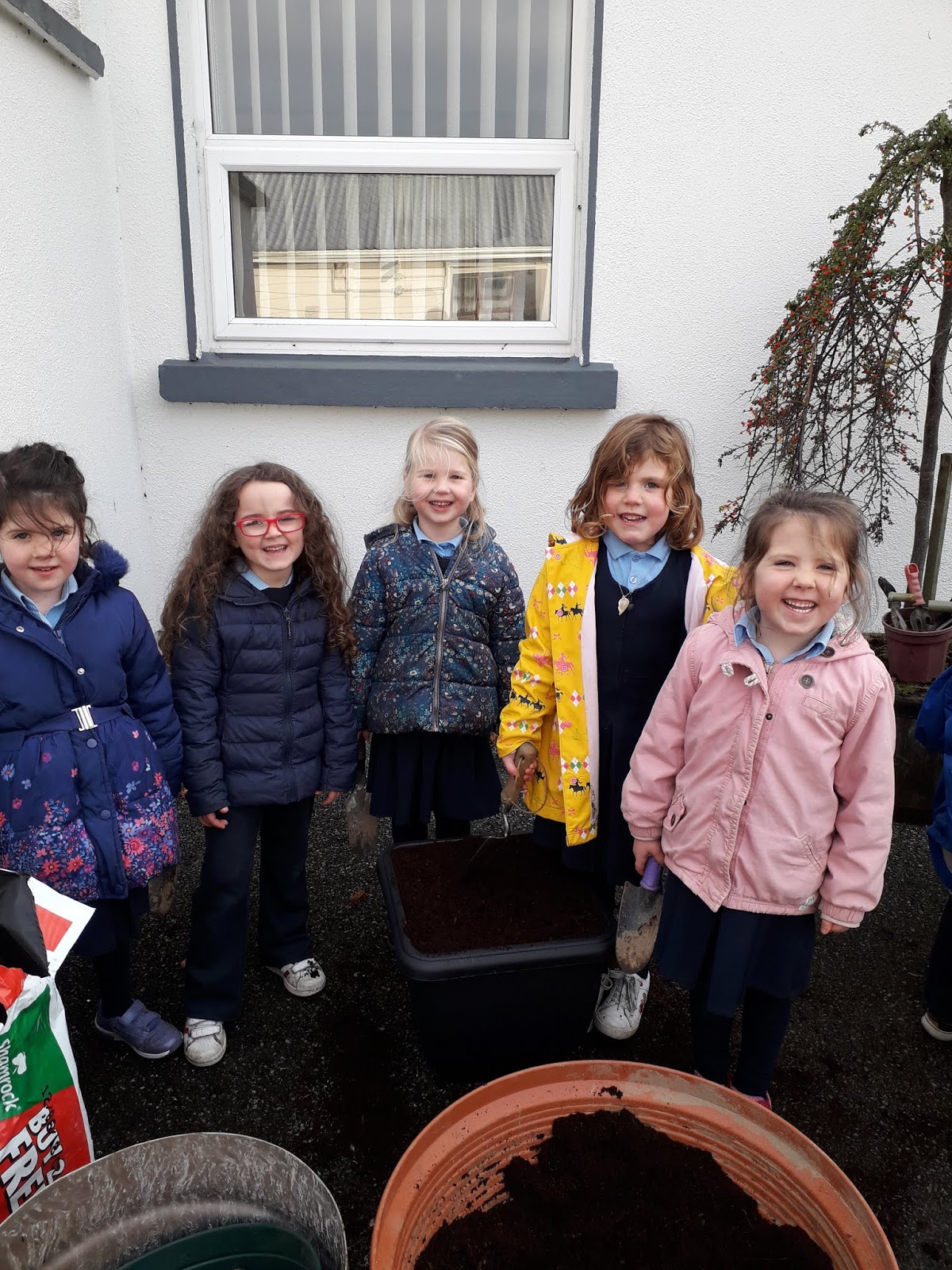 Kilrickle National School: Budding Gardeners