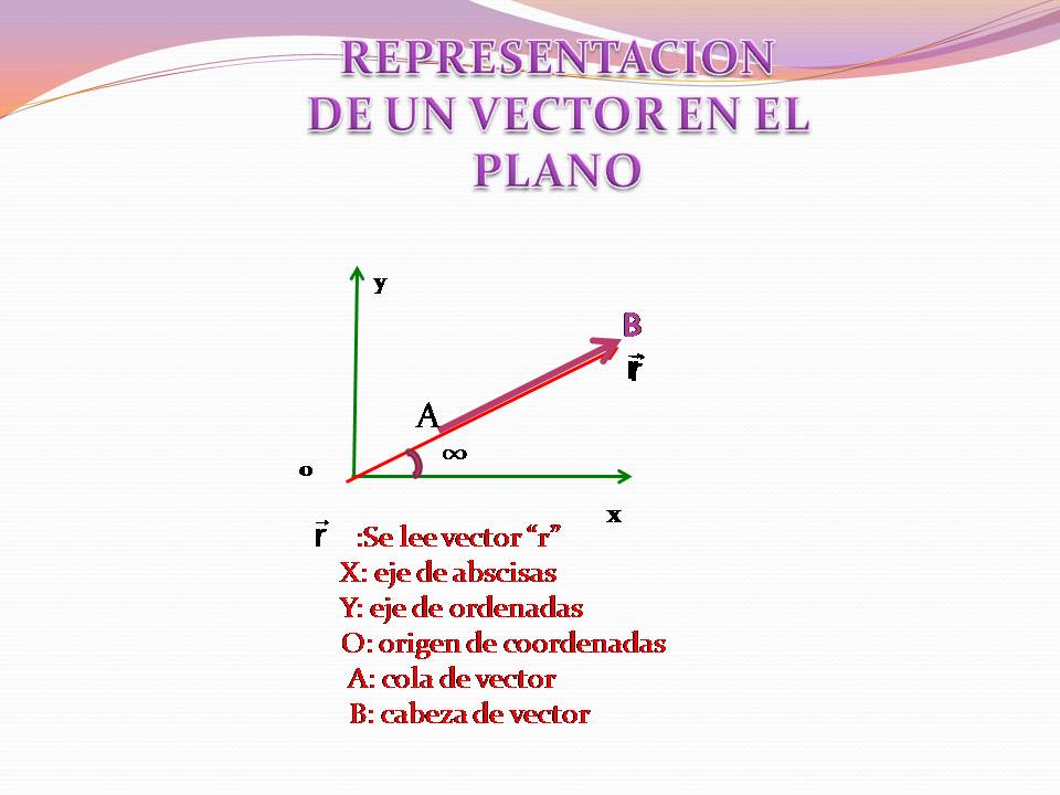 LA FISICA: LOS VECTORES